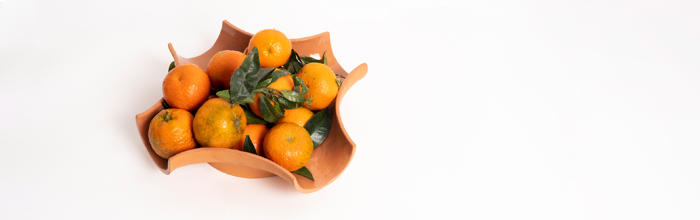 Geoffrey Pauchard design workshop — X Basket